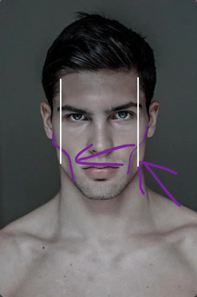 Ogee Curve in Facial Aesthetics - Mewing Appliance